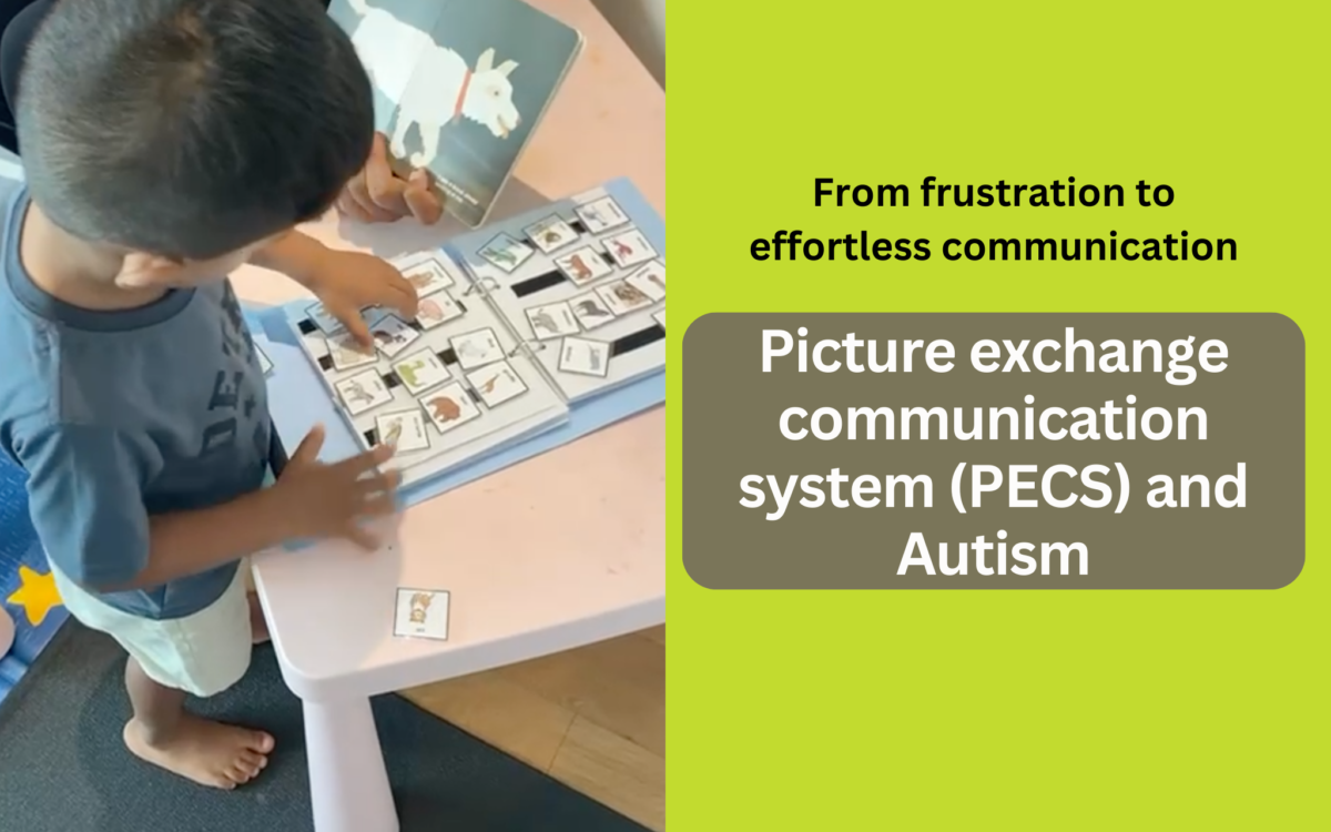 Masterclass PECS and communication in Autism - Khushi